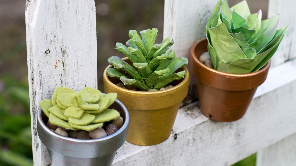 Sind die Echt? Pflanzen für die Ewigkeit | DI | 23 01 2024 | 15:30 ...